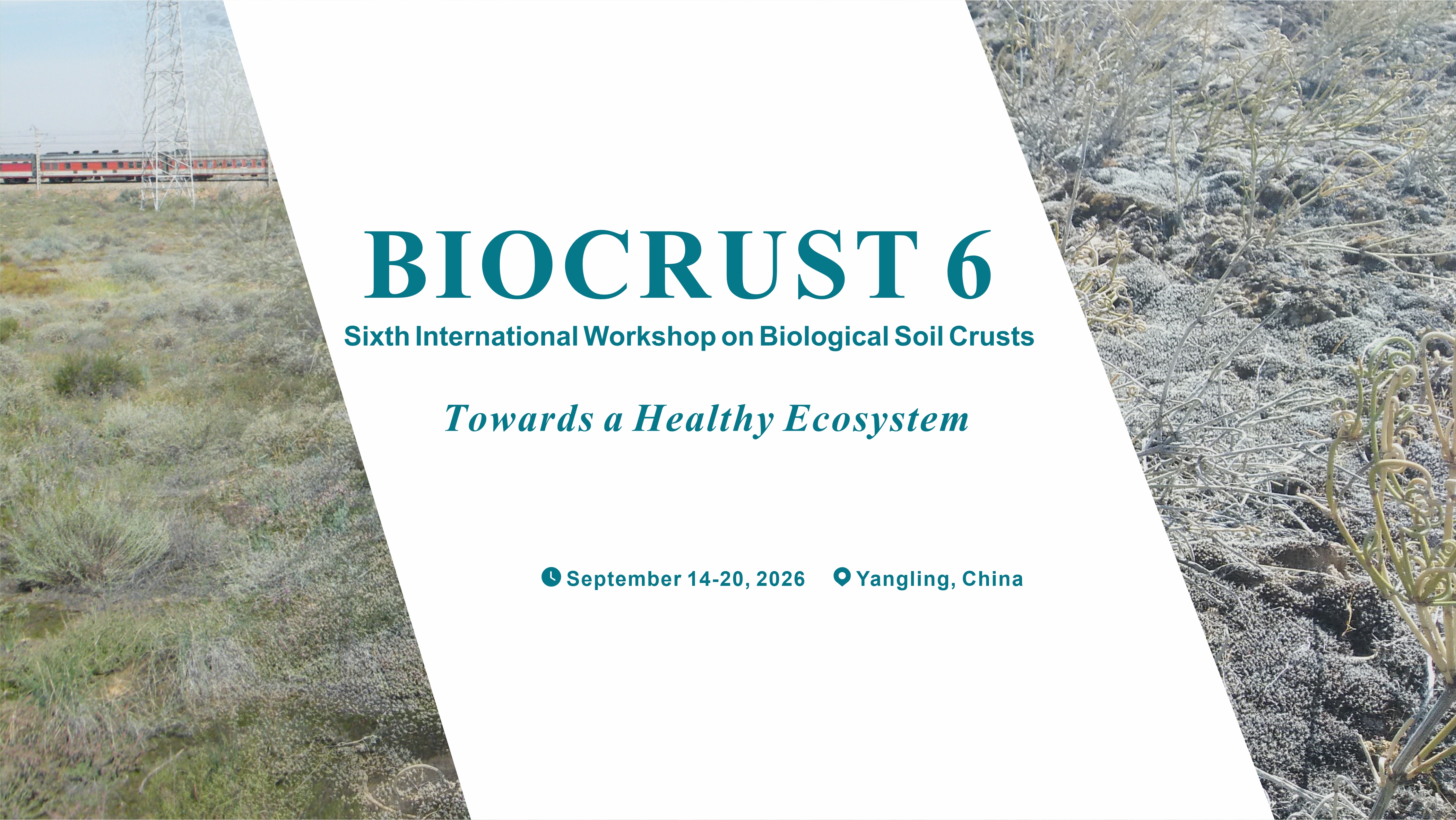 BIOCRUST 6 - 2026 6th International Workshop on Biological Soil Crusts