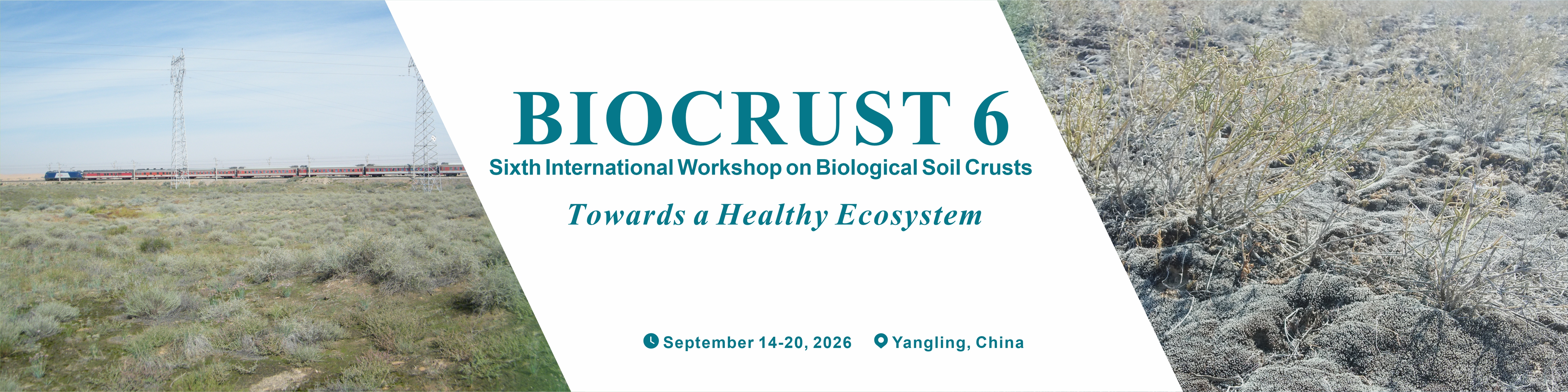 BIOCRUST 6 - 2026 6th International Workshop on Biological Soil Crusts